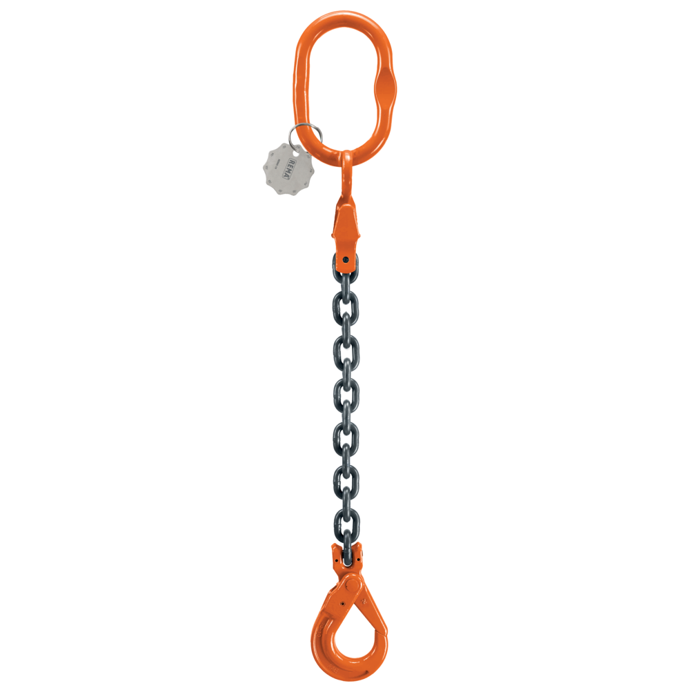 REMA 10: 1leg RML-RDG-RCS | CERTEX Germany